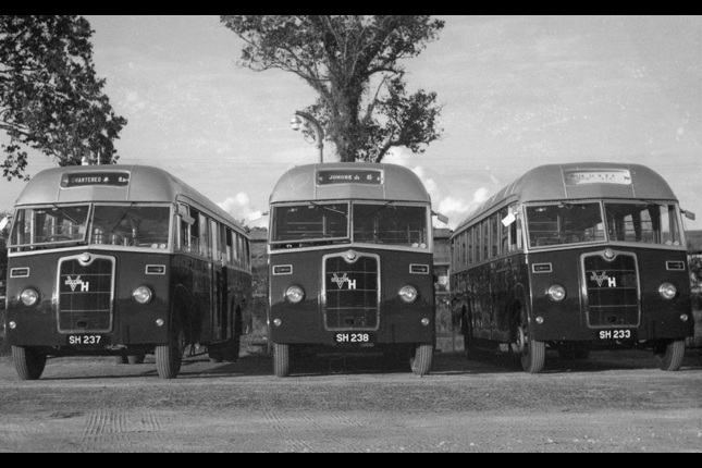 Green Bus Company